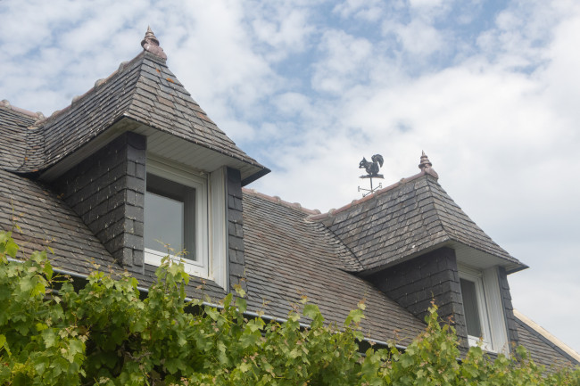Slate Roof Cleaning, Champaign, IL | Excel Eco Clean